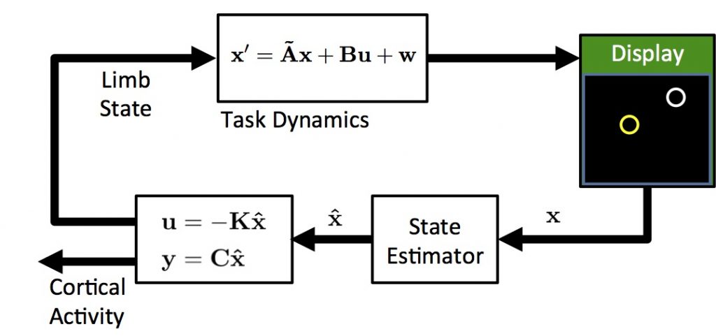 BCI Optimization – UW BioRobotics Laboratory